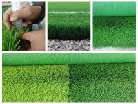China Durable Construction Green PE 12000 DTEX Synthetic Grass Turf for Soccer Field for sale