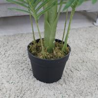 China Customized Support for Modern Woody Artificial Plants Dorelom Home Decor Plastic Pots for sale