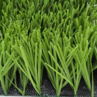 China Football Field W Shape Bi-Colors UV Resistant PE Monofilament Artificial Grass Turf for sale