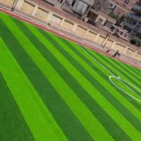 China Football Field W Shape Bi-Colors UV Resistant PE Monofilament Artificial Grass Turf for sale