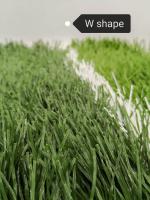 China Football Field W Shape Bi-Colors UV Resistant PE Monofilament Artificial Grass Turf for sale