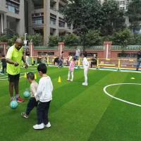 China Stitch Rate 16.5/10cm 50mm Football Artificial Grass Synthetic Turf for Soccer Field for sale