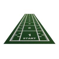 China PE Gauge 3/16 Inch Outdoors Activity Artificial Grass Gym Floor Mat with Sled Track for sale