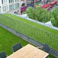 China 8204 Plastic Grass Carpet The Ultimate Solution for Garden Landscaping and Decor for sale
