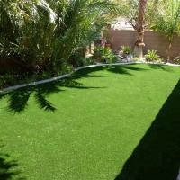 China Natural Looking Artificial Grass for Garden Backdrop and Pets 2m/4m*25m 3/8inch Guage for sale