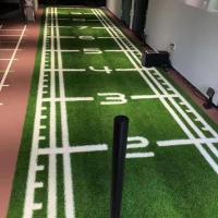 China Sport Other Artificial Lawn Landscape for Golf Soccer Fields Gym Grass Synthetic Turf for sale