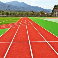China Gym Baseball Synthetic Turf Sports Floor Grass with Density 42500 Stitches/m2 Density for sale