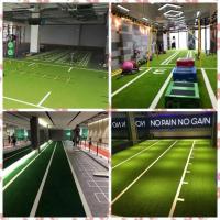 China Sports Flooring Fitness Scale Training Artificial Turf Grass for Gym for sale