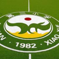 China PE PP Backing Artificial Grass Logo Color Pattern Synthetic Turf Mini Football Carpet for sale
