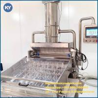 China 10 Inch Large Scale Medical Softgel Encapsulation Machine With Formula PLC Control for sale