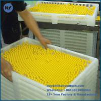 China Food Grade Softgel Drying Trays for sale