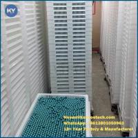China Softgel Capsule Machine 103mm Roller Die for Paintball Production for sale