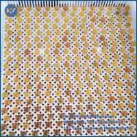China Pharmaceutical medicine Plastic Drying Trays with holes for good drying for sale