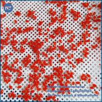 China Pharmaceutical medicine Plastic Drying Trays with holes for good drying for sale