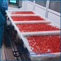China High Temprature Bearing Large Plastic Trays For Paintball / Softgel Capsule With Air Flow for sale