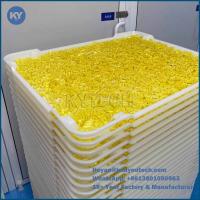 China Food Grade PP Plastic Drying Tray 758x608x40mm for sale