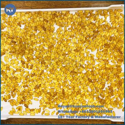 China Large Size 78*50*6cm Plastic Drying Trays Softgel Anti High Temprature for sale
