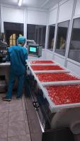 China CE Certificate 5rpm Softgel Encapsulation Machine Plc Control for sale