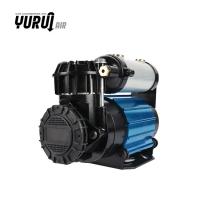 China Single Cylinder 4WD DC12v Offroad Car Air Compressor For Car Tire Inflation for sale
