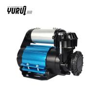 China Single Cylinder 4WD DC12v Offroad Car Air Compressor For Car Tire Inflation for sale