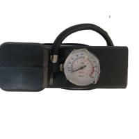 China AC110-230V/DC12V Changeable Current Car Tire Air Compressor with nozzle for sale