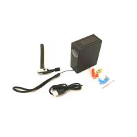 China 17L/min Flow Digital Display Air Pump Portable Electric Tire Inflator Battery Powered for sale