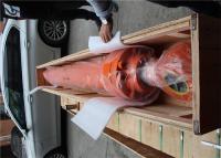 China ZX450-3 ZX870-3 Hitachi 4638083 Hydraulic Arm Cylinder Assy Excavator Parts for sale