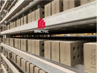 China Brictec Technical brick machine tunnel kilnfired ceramic clay hollow brick in Pakistan for sale