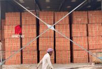 China Brictec Technical brick machine tunnel kilnfired ceramic clay hollow brick in Pakistan for sale