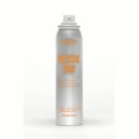 China Male Valve 25cm 200ml Aristo Reflective Coating Spray Paint for sale
