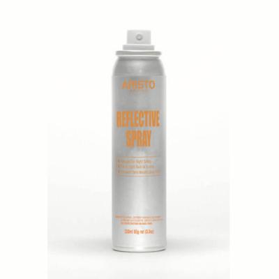 China Male Valve 25cm 200ml Aristo Reflective Coating Spray Paint for sale