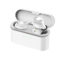 China Waterproof Power Bank Earphone In Ear True Wireless Stereo BT5.0 for sale