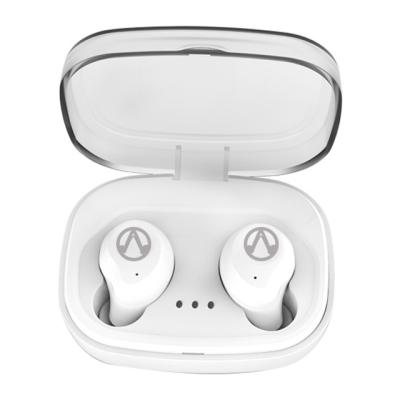 China Portable OEM Bluetooth Earphones Bt5.0 Hifi Touch Control IPX7 Waterproof for sale