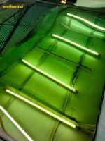 China Green Mirror Color Sheet Pvd Coating Decoration Stainless Steel Plate for sale