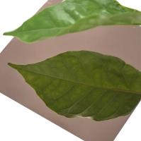 China Durable 304 Rose Gold Mirror Stainless Steel Panel for Home Decor for sale
