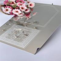 China Grade 304 Silver Etched Stainless Steel Sheet 0.95mm For Elevator Decorative for sale
