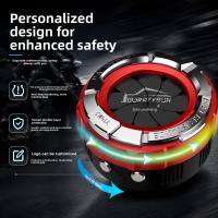 China Motorcycle TPMS Wireless Tire Pressure Monitoring System OEM T02 Left Side Waterproof LCD Screen Real Time Tire Temperature for sale