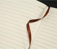 China Business Journal Custom A5 Planner PU Leather Notebook Set with Logo and Paper Cover for sale
