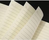 China Business Journal Custom A5 Planner PU Leather Notebook Set with Logo and Paper Cover for sale