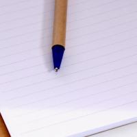 China No Magnetism Non-Adhesive Custom Memo Pad with Pen Included To-Do List Sticky Notes for sale