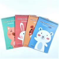 China Reusable Writing Notebook for Kids 4 Books 1 Pen English Magic Practice and Calligraphy for sale