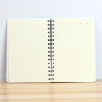 China Promotion Special Edition A5 Creative Coil Book for Student Practice Diary Paper for sale