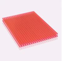 China Greenhouse Roof Panels UV Protection Polycarbonate PC Twin Wall Hollow Sheet for sale