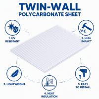 China Twin-wall colorful  4mm 6mm 8mm 10mm 50 Micrometer UV Coating Roof Panel Polycarbonate Hollow Sheet for sale