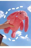 China Soft / Cuddly Animal Plush Toy Doll ASTM F963 Certified Hand Washable Affordable for sale