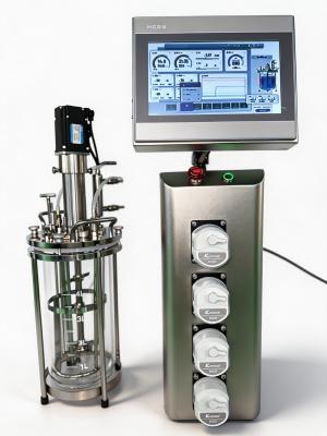 China OEM / ODM Fermentation Bioreactor 5L Glass Bioreactor For High Density Cells And Efficient Bioprocessing for sale