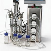 China OEM / ODM Fermentation Bioreactor 5L Glass Bioreactor For High Density Cells And Efficient Bioprocessing for sale