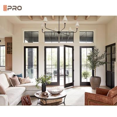China French Style Steel Frame Glass Swing Door With Hinges Powder Coated for sale