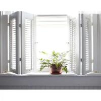 China French Aluminium Louver Glass Shutter Windows Folding Shutter Motorized Window for sale