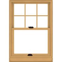 China Customized Color Aluminium Single Hung Window With Glass Type American Hardware for sale